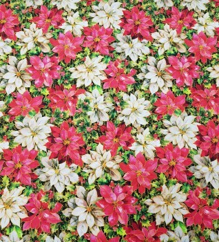 Noel - A Little Patch of Country